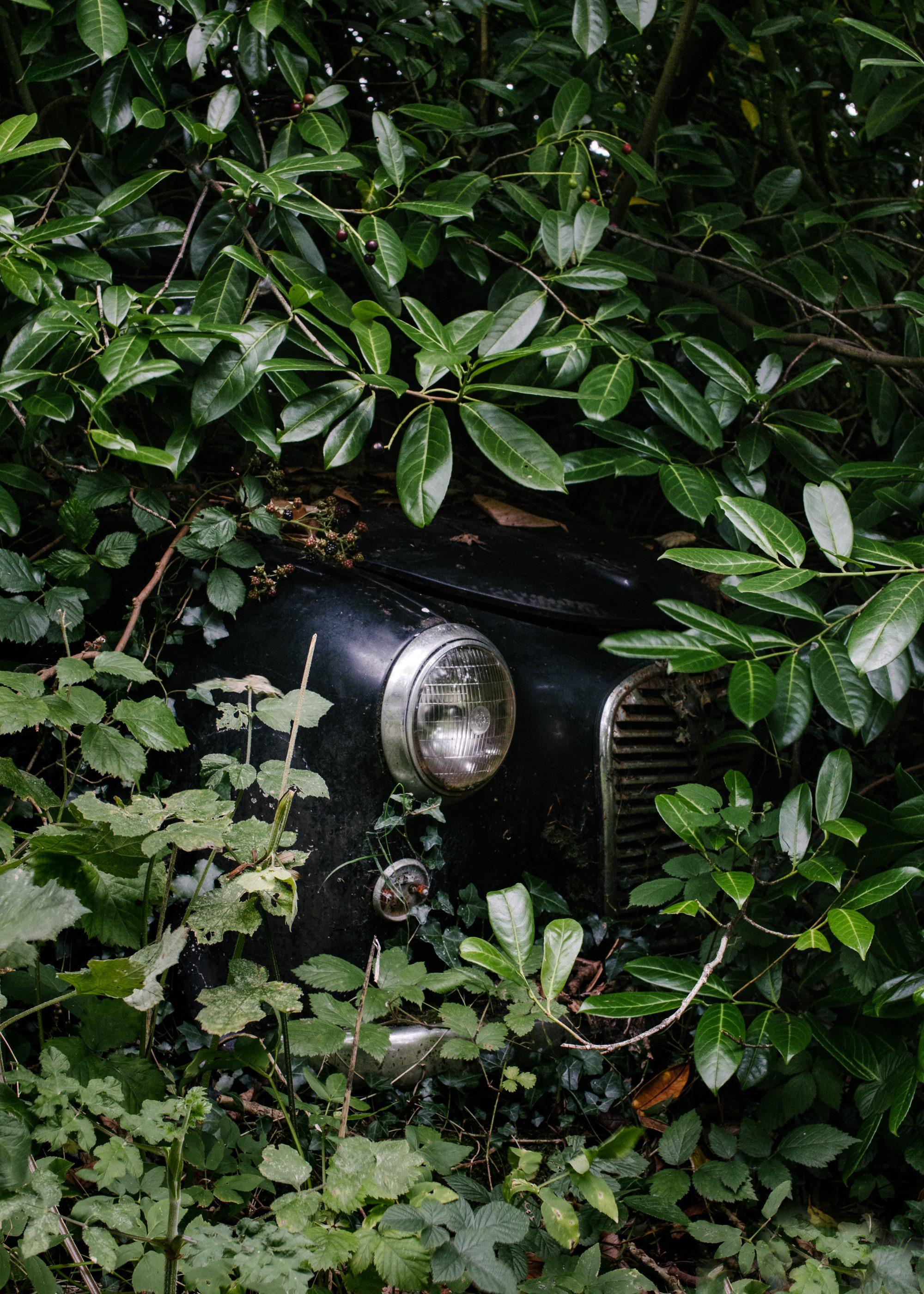 Juxtapose with me | Projects | Daniel Binks, Photographer